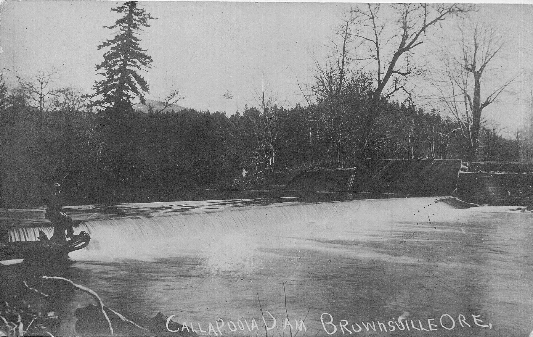 Brownsville Dam Removal | Calapooia Watershed Council